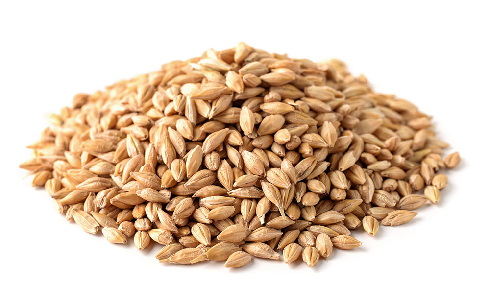 Shepherd Grain | Leading Grain Company in Australia