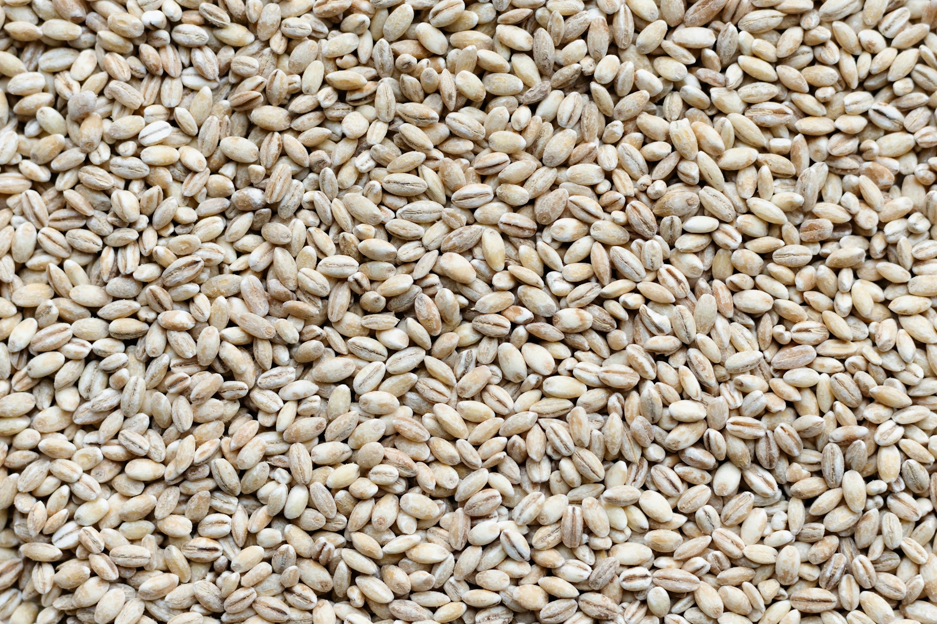 Solving Barley Plant Diseases with the Right Seeds